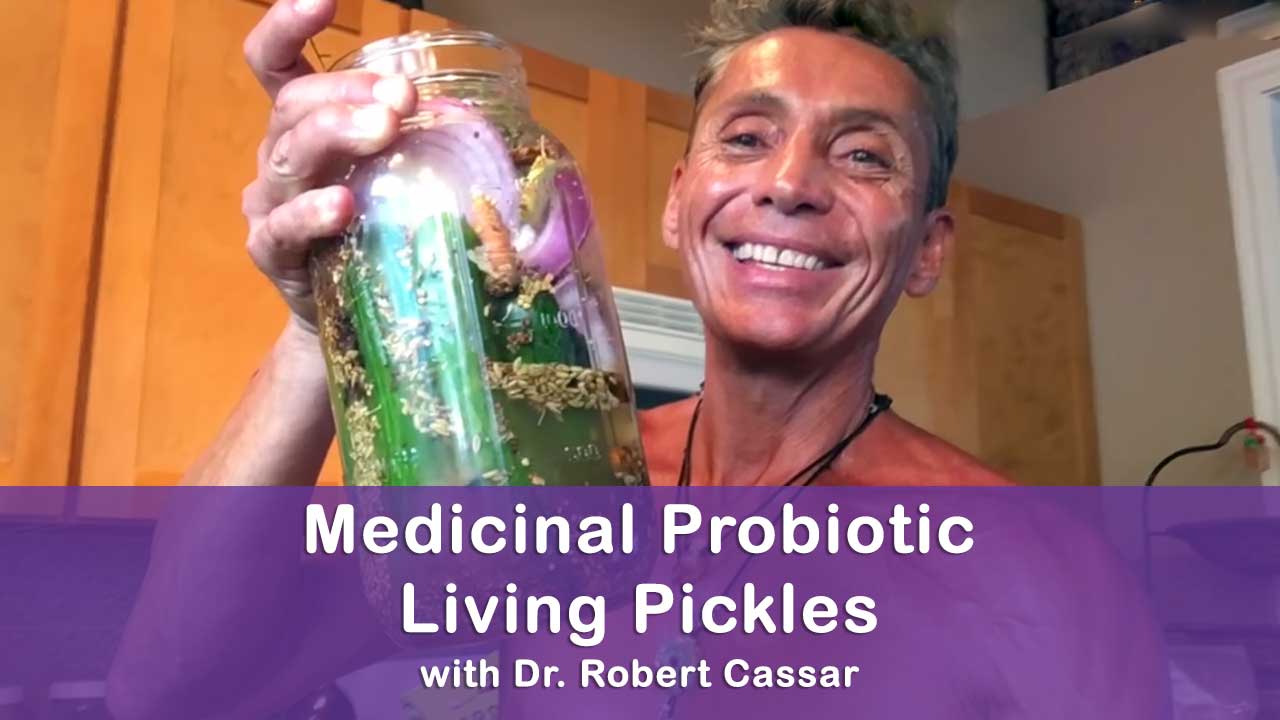 Medicinal Probiotic Living Pickles - Earther Academy