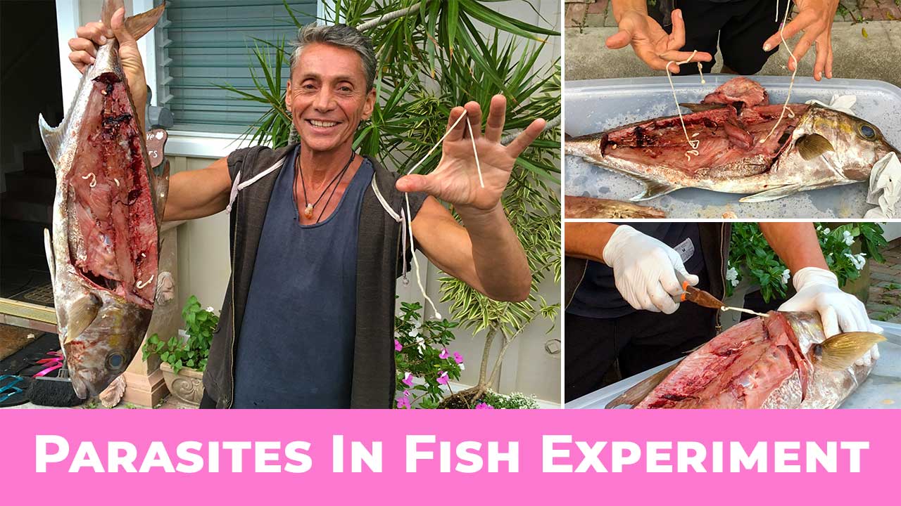 Incurable Diseases Archives - Earther Academy