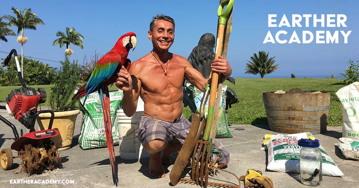 Blog - Earther Academy